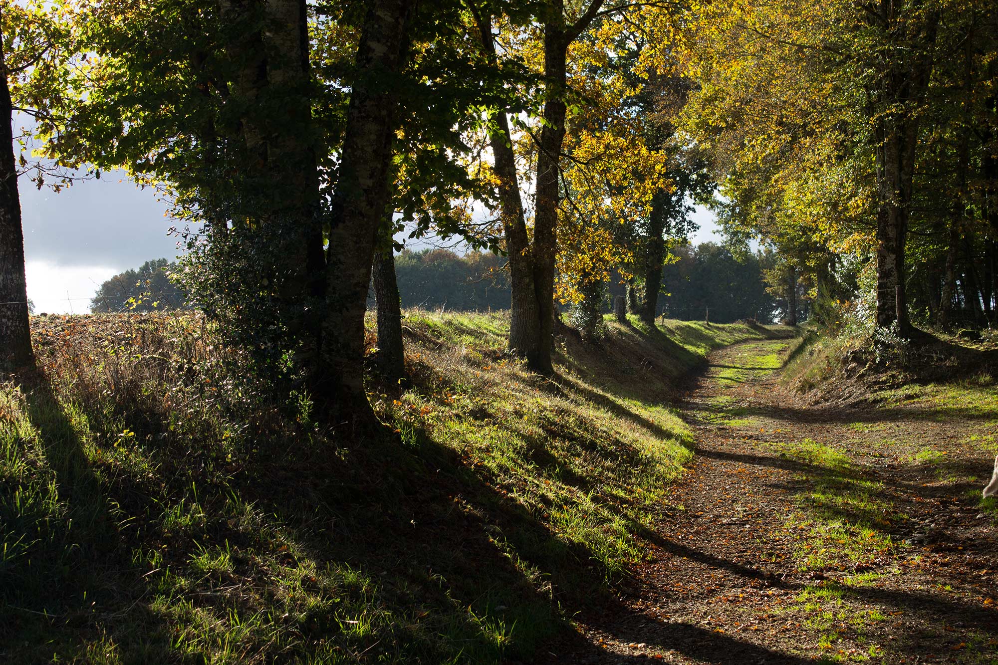 Accueil Marais du Cassan et de Prentegarde