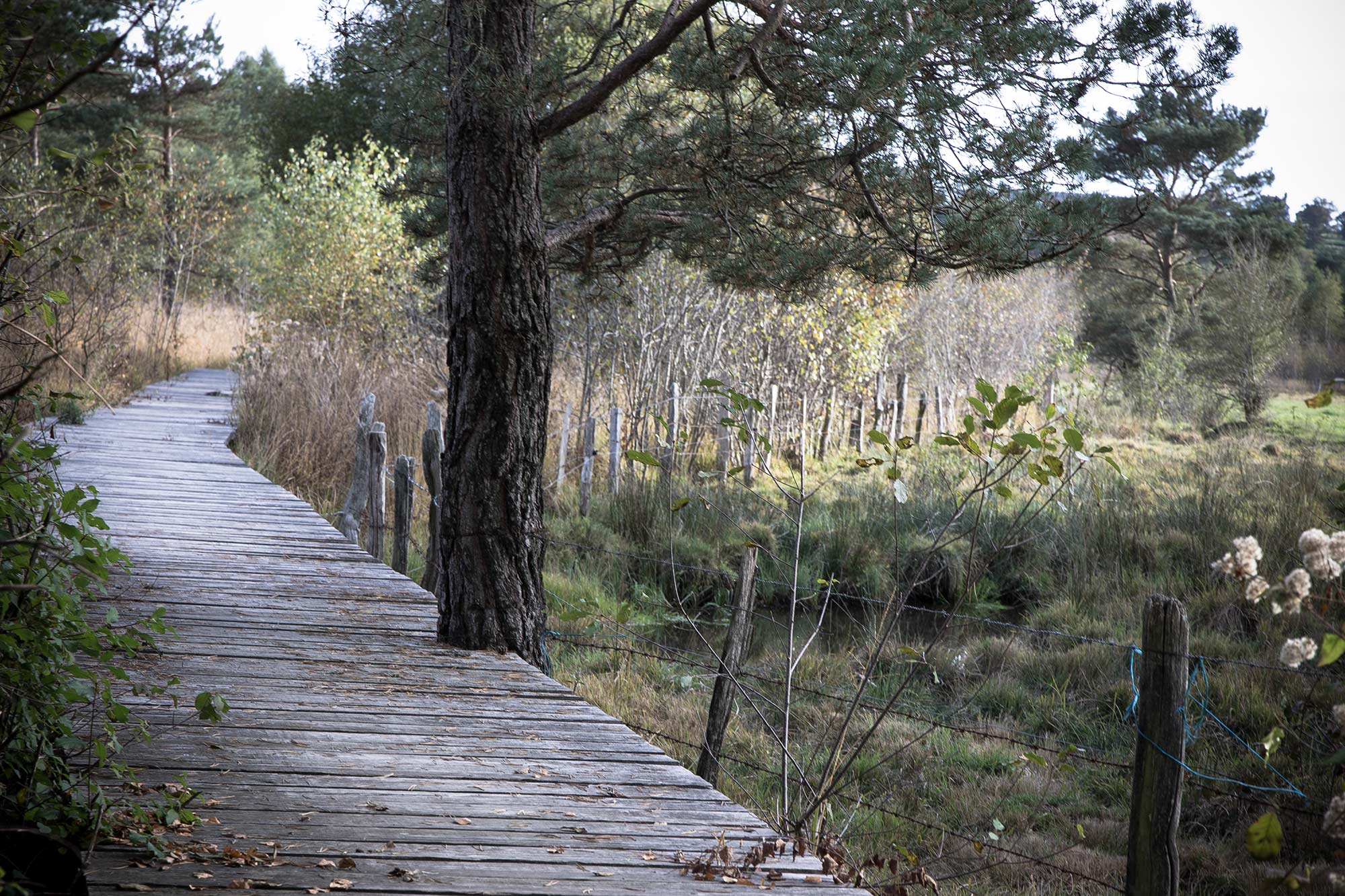 Accueil Marais du Cassan et de Prentegarde