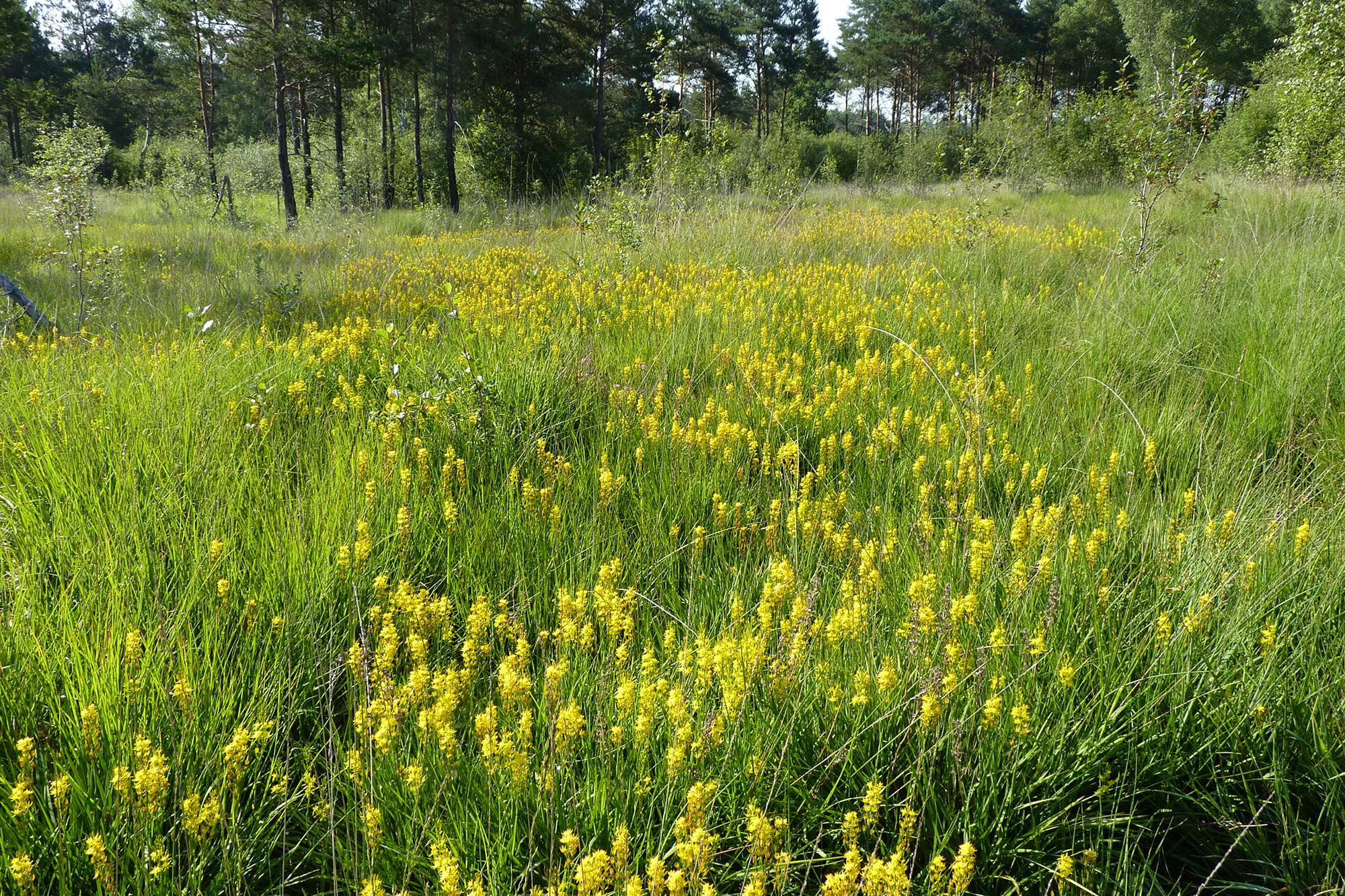Accueil Marais du Cassan et de Prentegarde