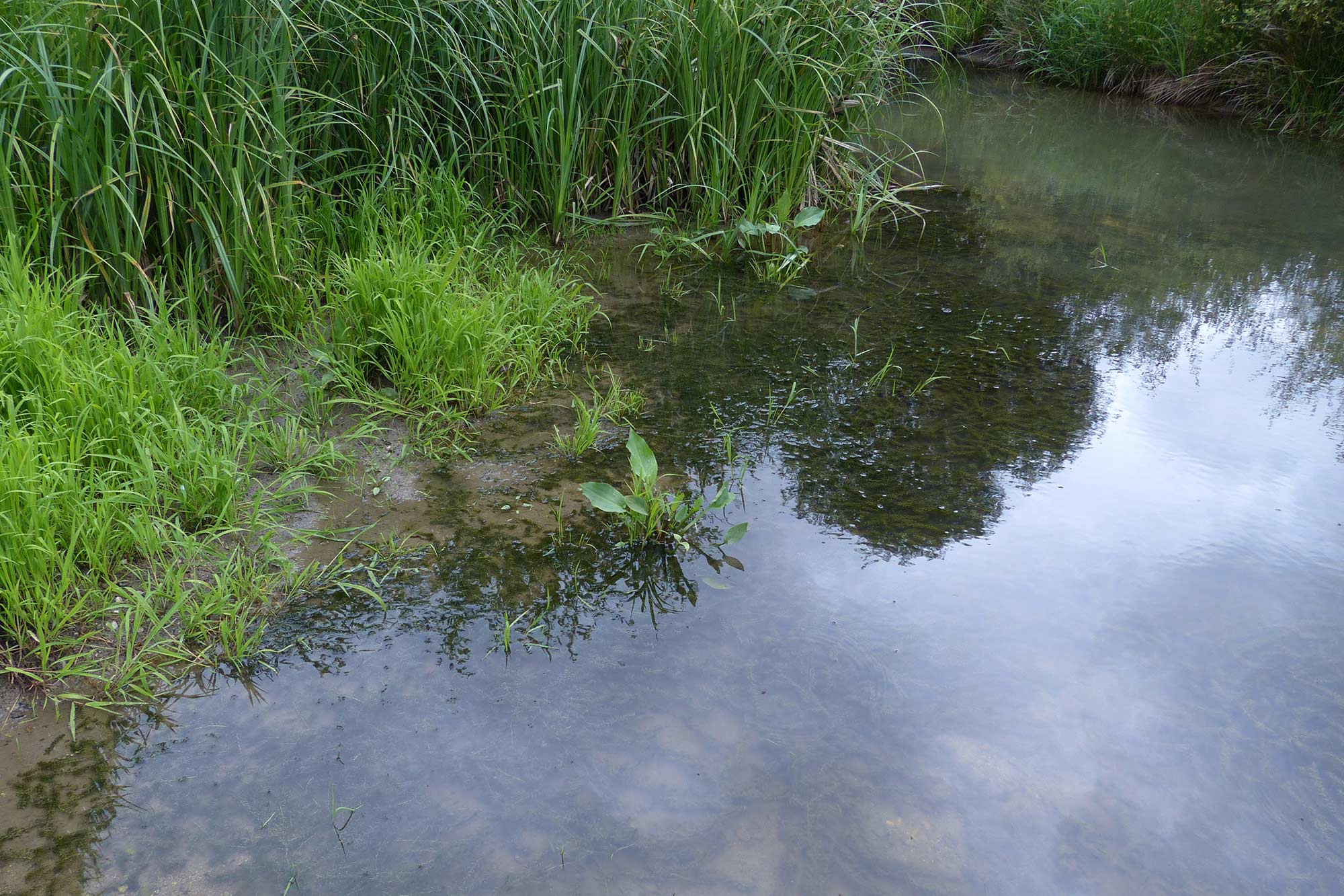 Accueil Marais du Cassan et de Prentegarde